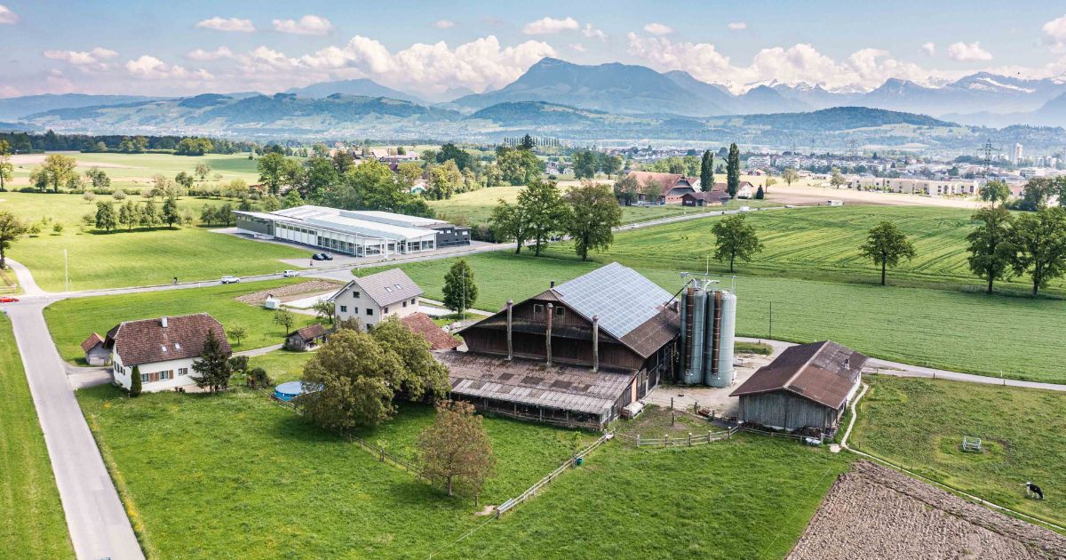 Böltschi - Lukas Ottiger | Emmi Gruppe