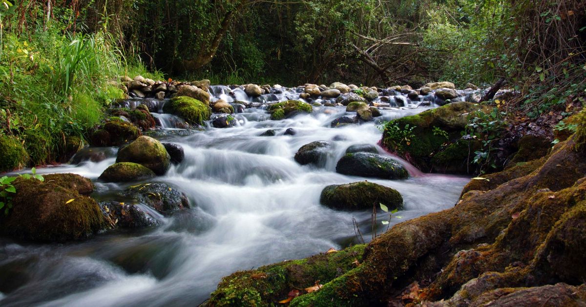 Wasserstrom wird Standard | Emmi Gruppe