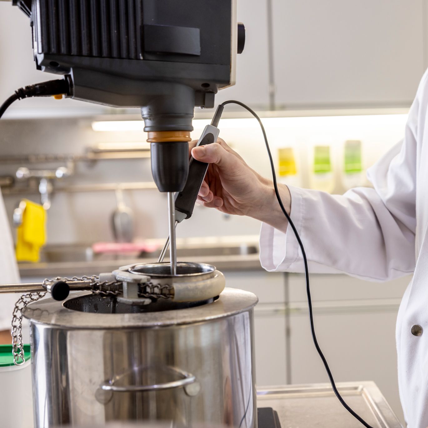 Research and development in the Emmi vegan laboratory