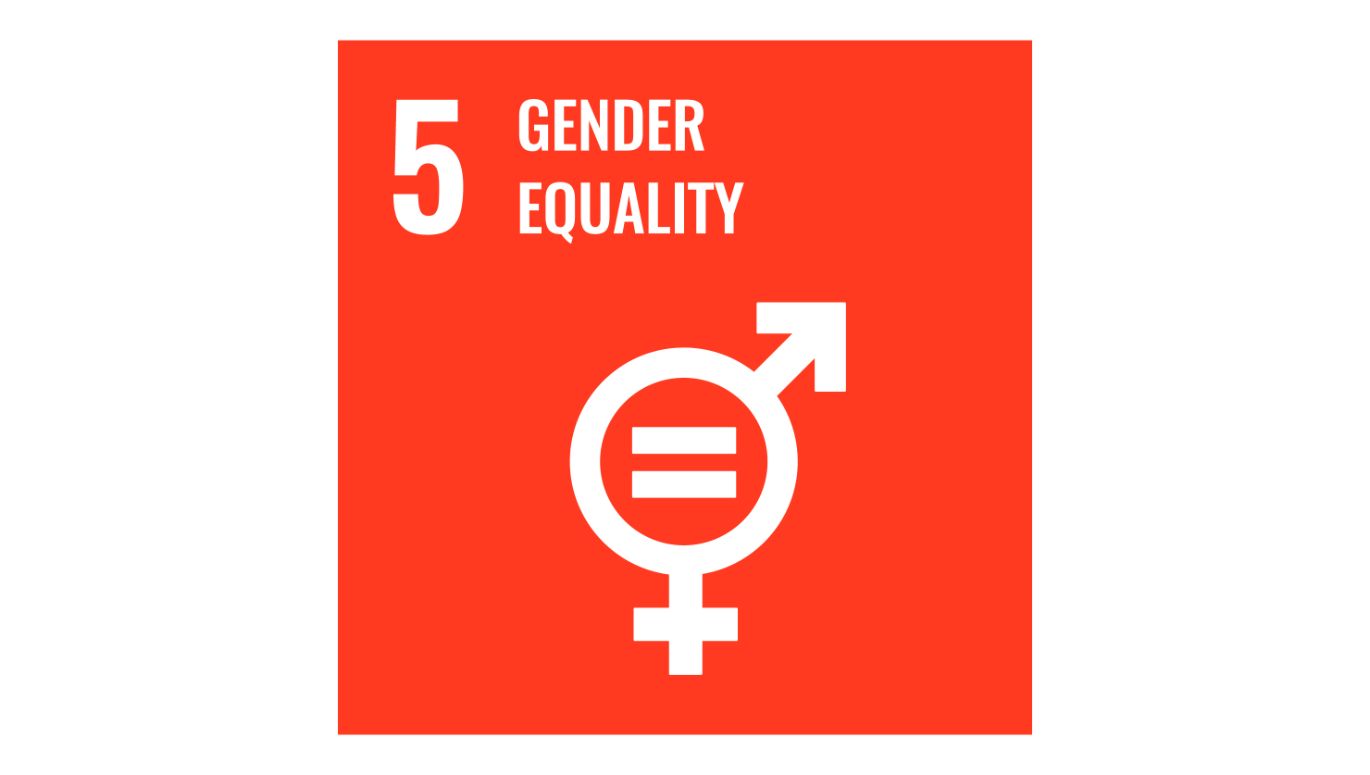 Sustainable Development Goals | Emmi Group