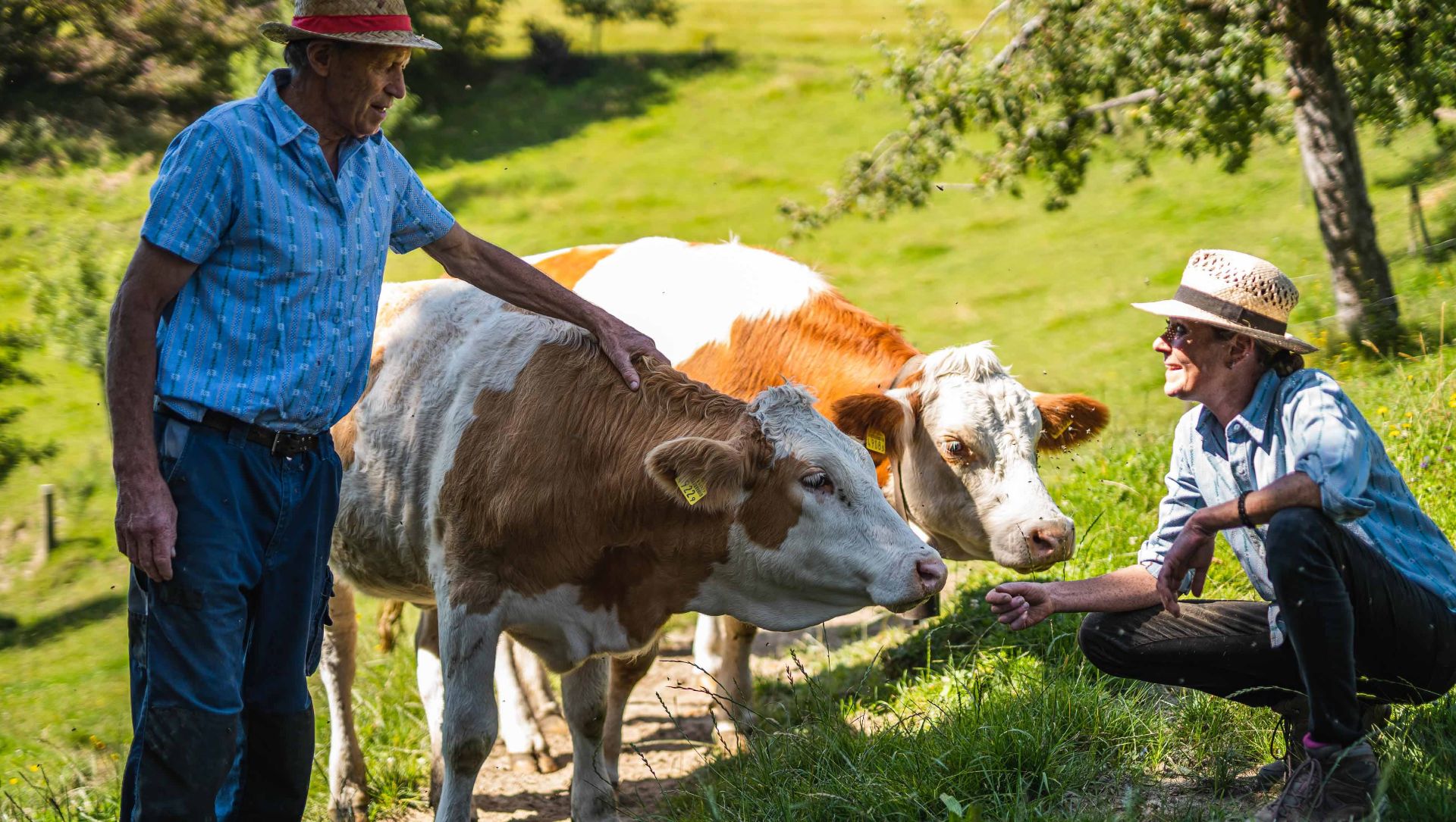 "In my eyes, my father’s a hero" — the small farm with a huge sense of ...
