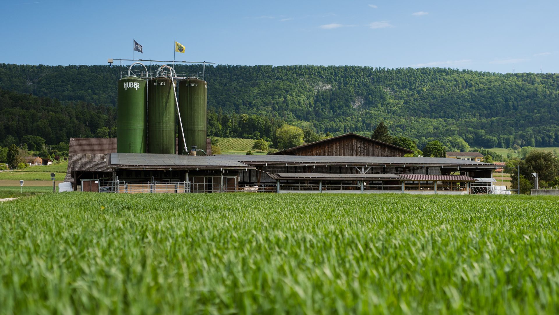 Steinbrüggli - Familie Schlatter | Emmi Gruppe