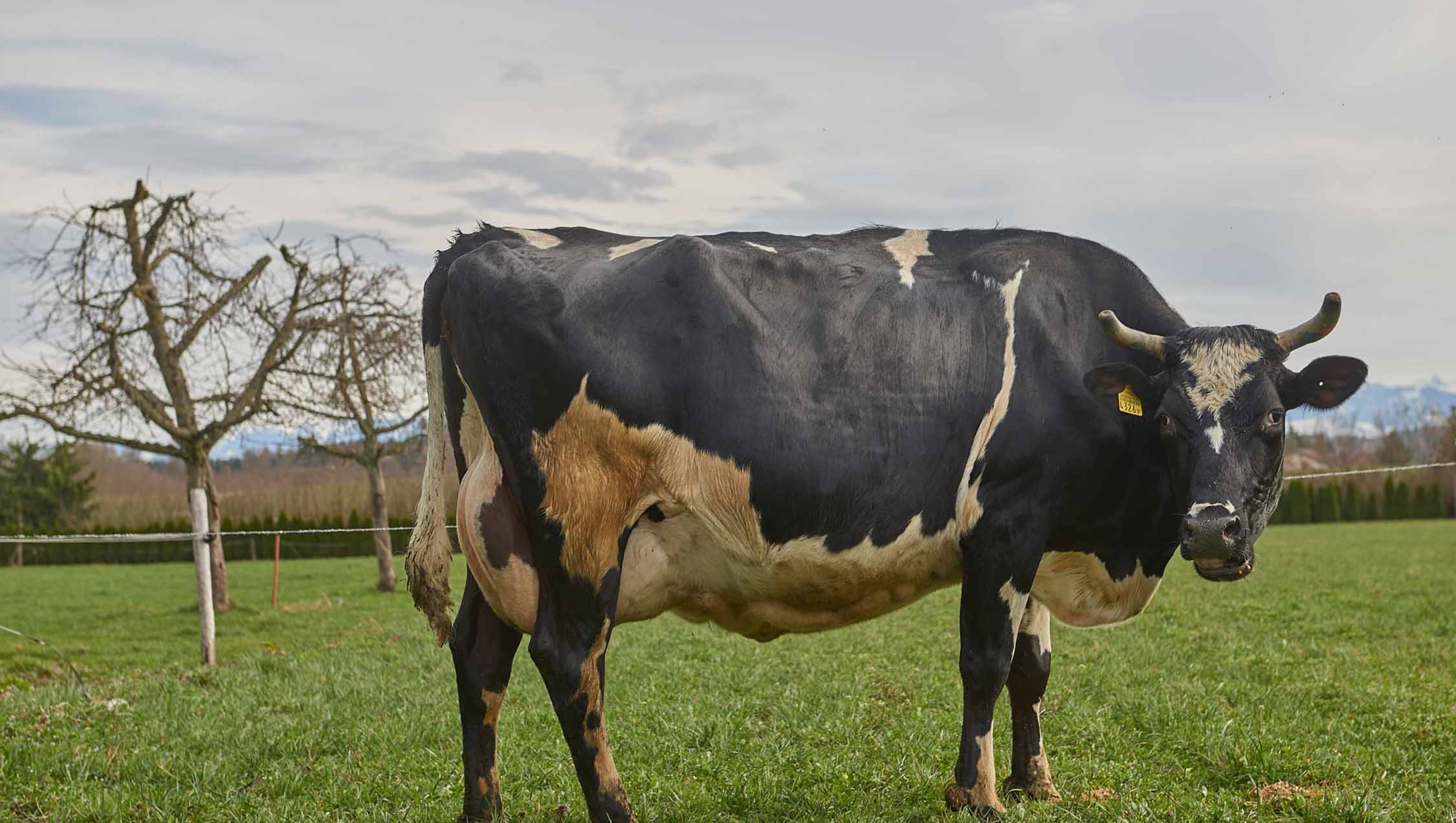 Flurhof - Urban Keusch | Emmi Gruppe