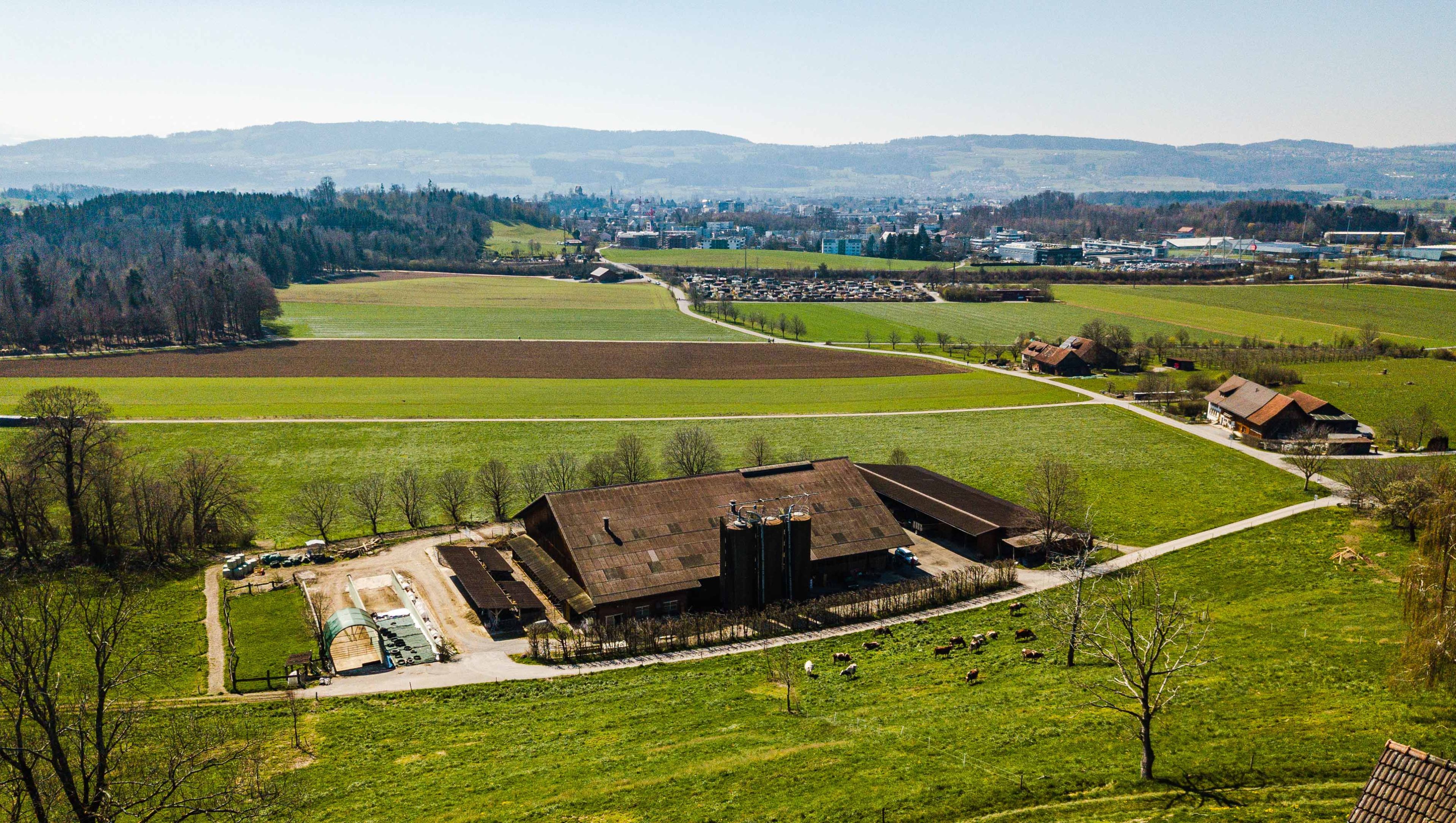 Wermatswiler Haldenhof - Mirjam Meili | Emmi Gruppe