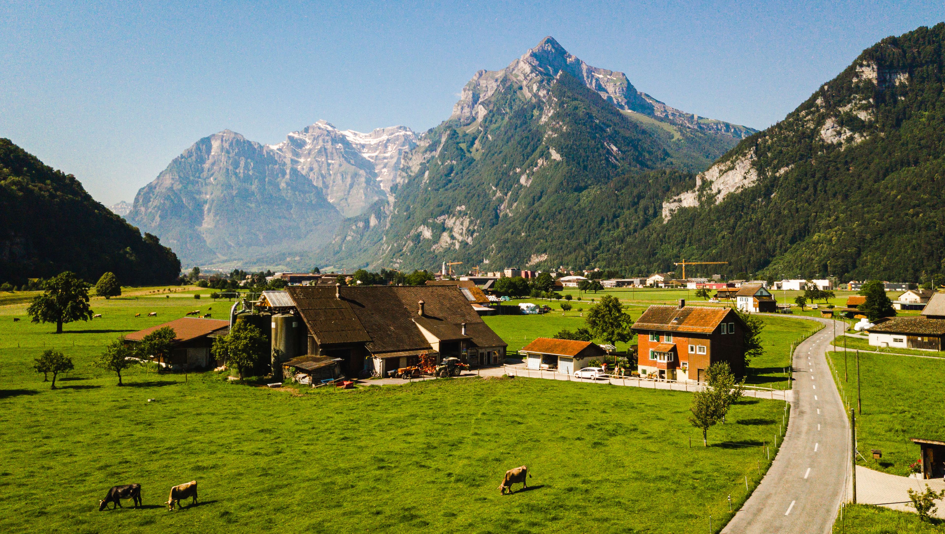 Emmi Farmer Ambassadors: Family Landolt