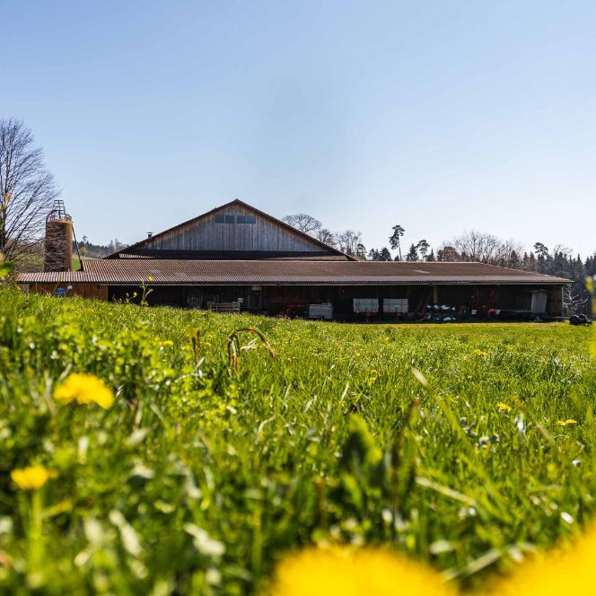 Wermatswiler Haldenhof - Mirjam Meili | Emmi Gruppe