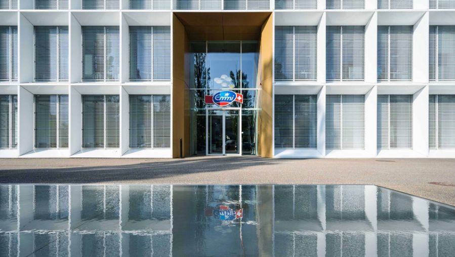 Organization | Emmi Group