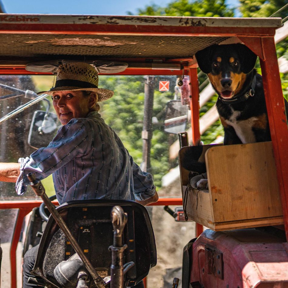 "In my eyes, my father’s a hero" — the small farm with a huge sense of ...