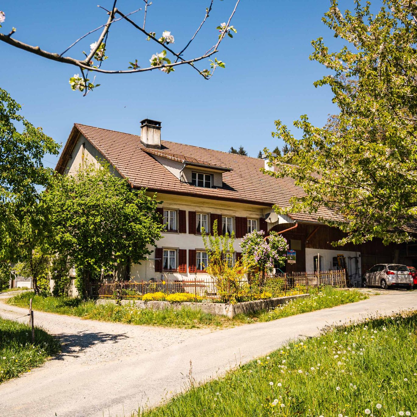 Talhof - Thomas Blaser | Emmi Gruppe