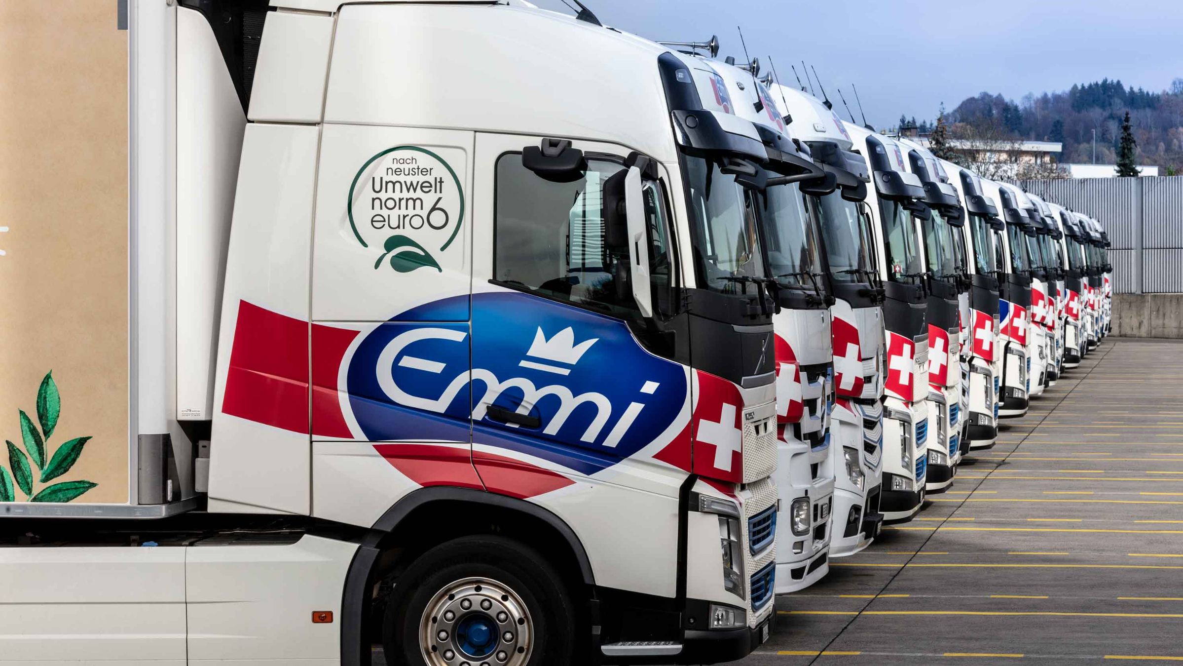 Unser Team | Emmi Gruppe