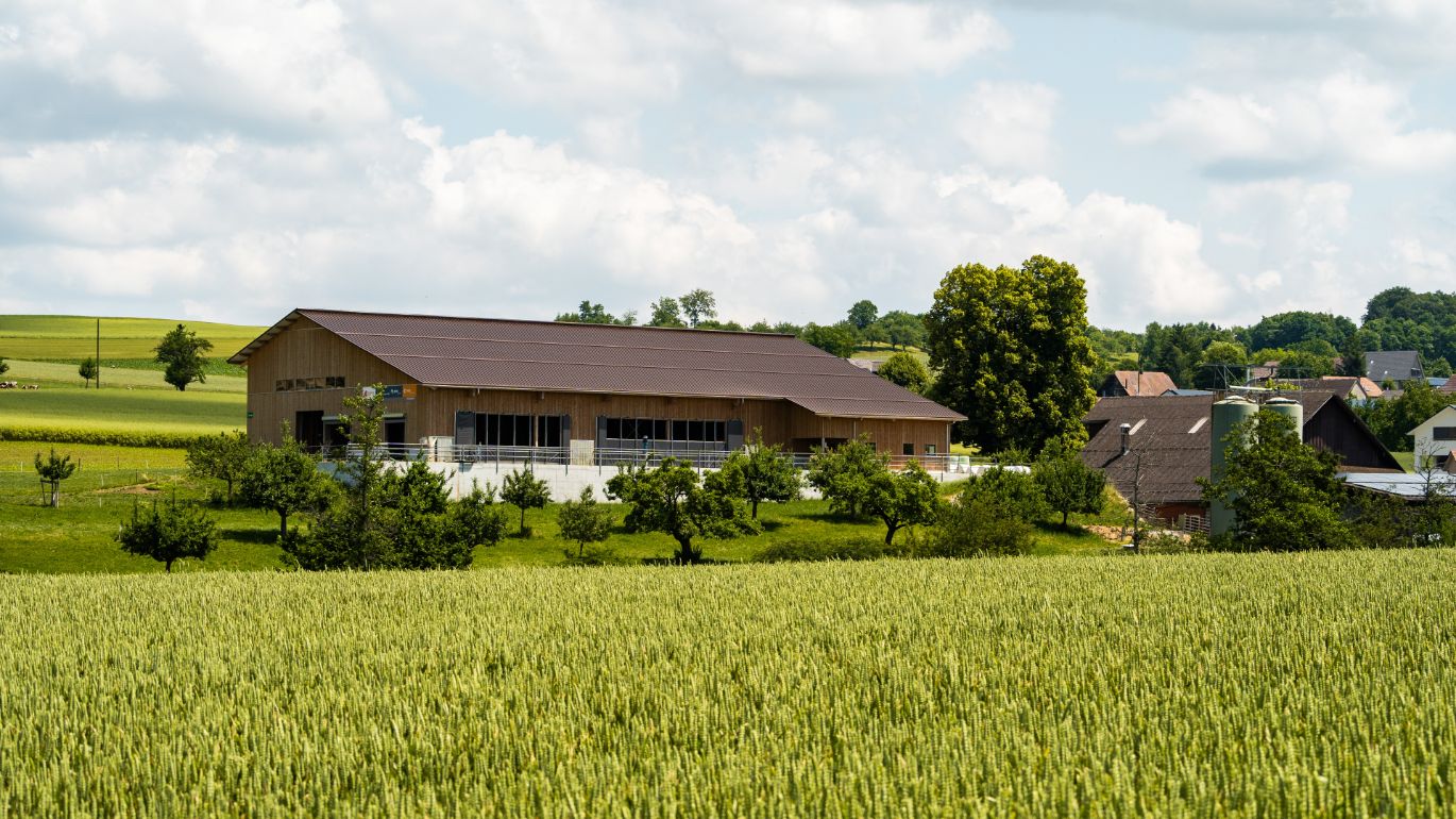 Mühlehof - Cyrill Gauch | Emmi Gruppe