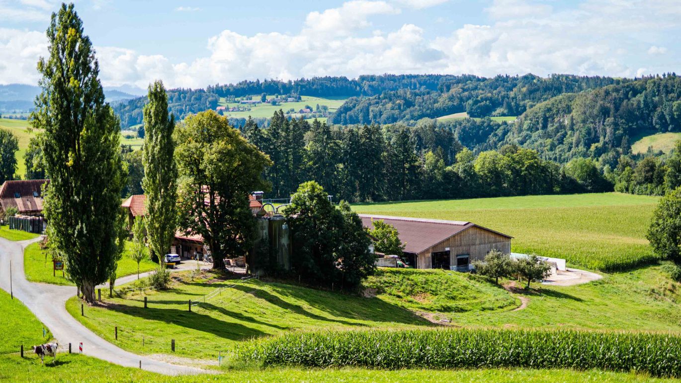 Rieselehof - Familie Dummermuth | Emmi Gruppe