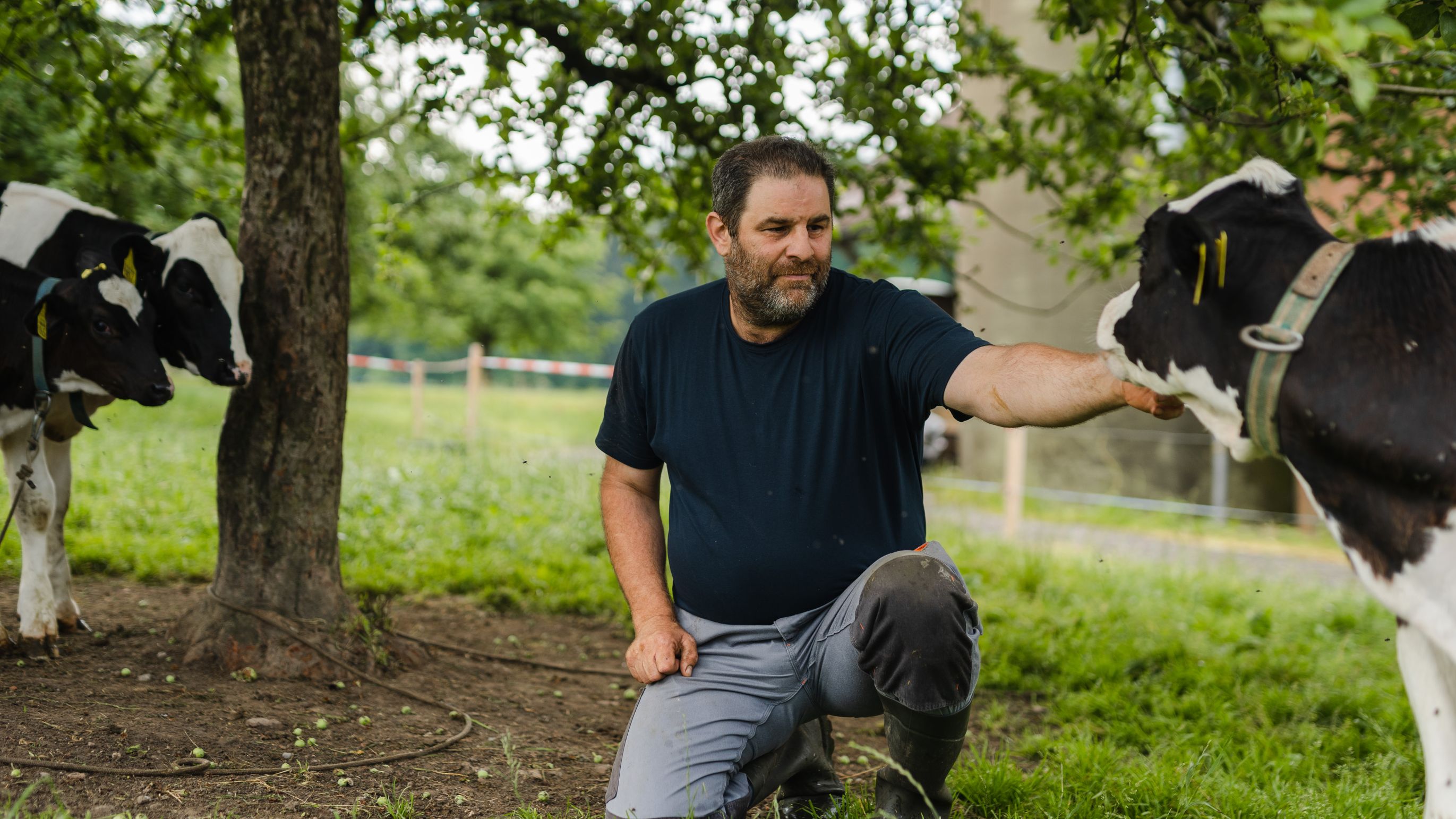 Wolfacker - Markus Baumgartner | Emmi Gruppe