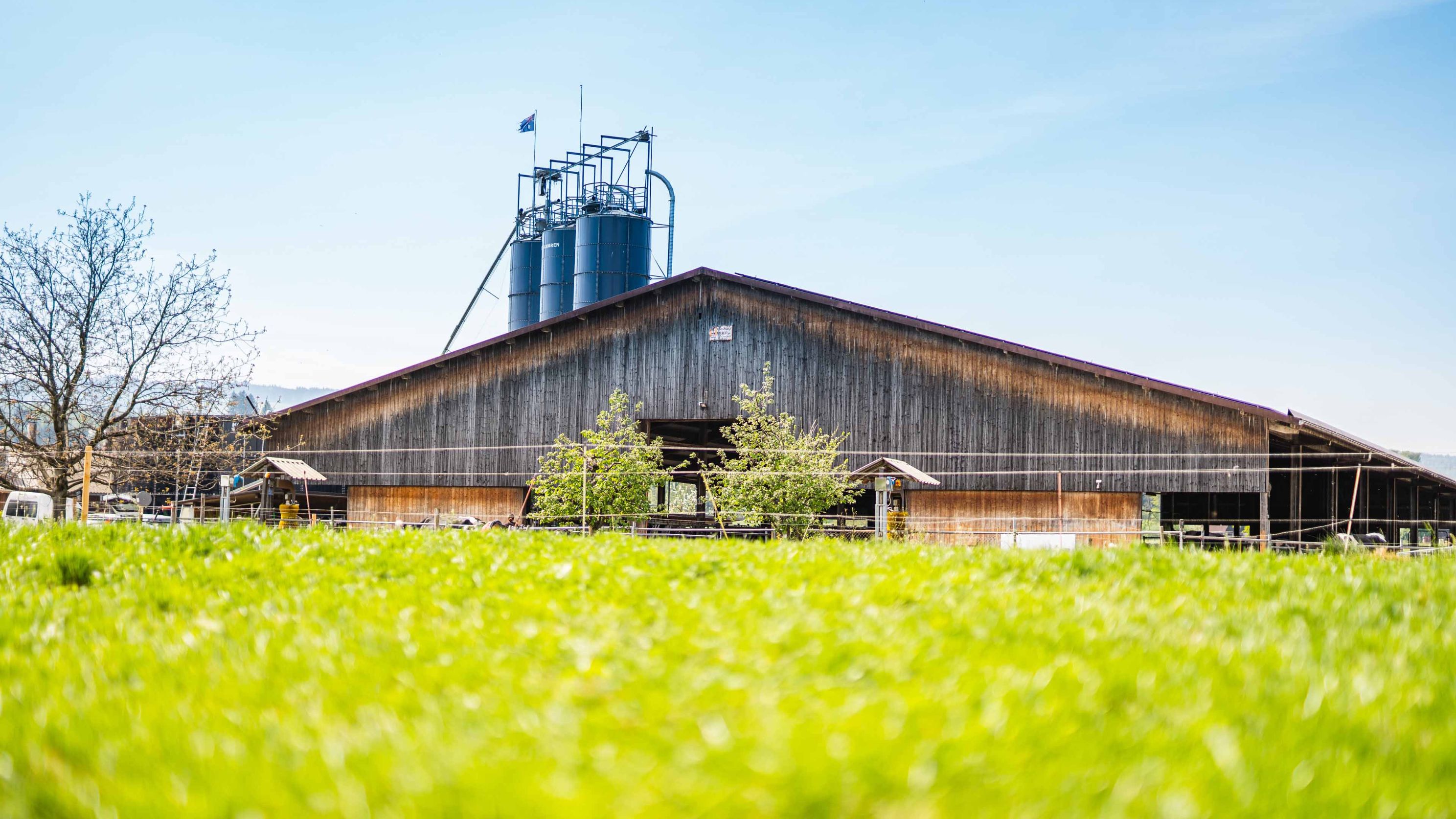 BG Schoren Plus - Peter Suter | Emmi Gruppe